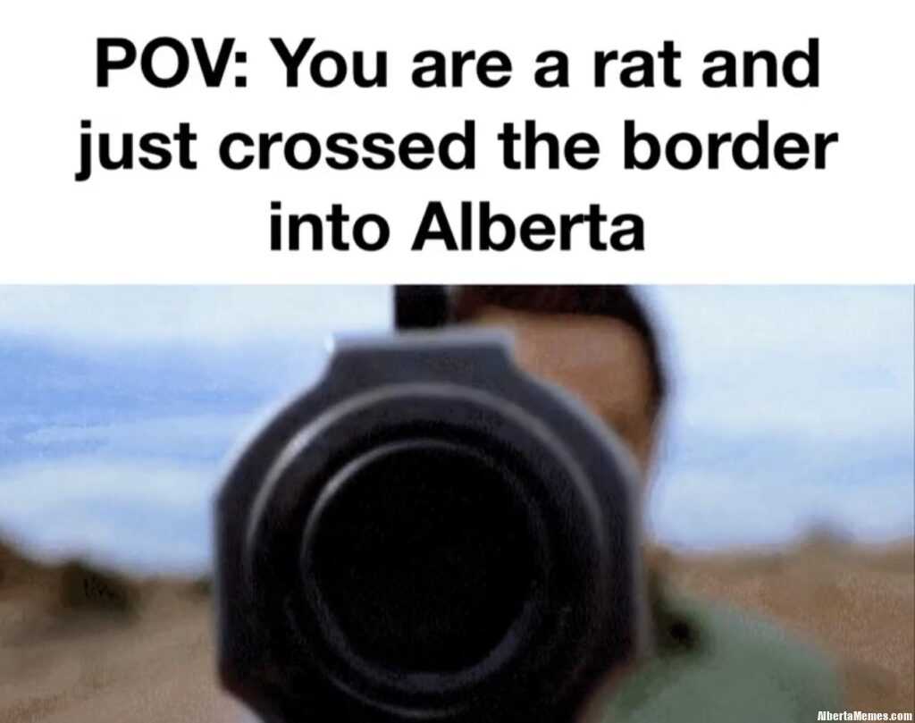 This is why Alberta is rat free meme - Alberta Memes