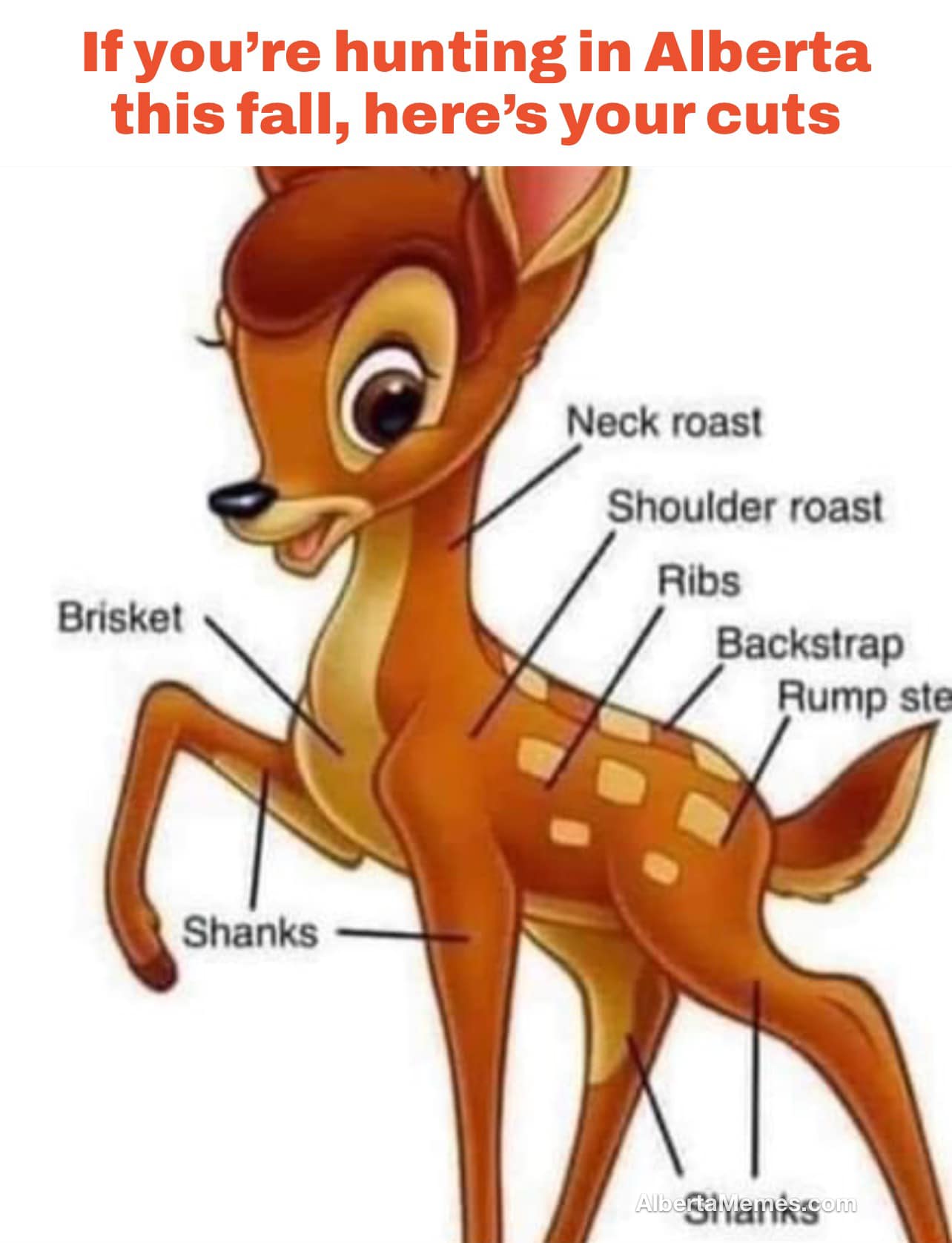 Sorry, Bambi: Welcome to Alberta meme - Alberta Memes